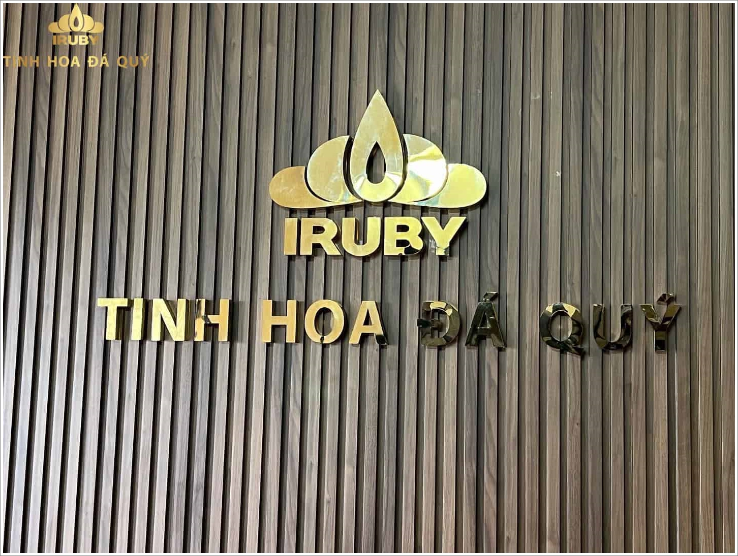 Giới thiệu - IRuby.vn