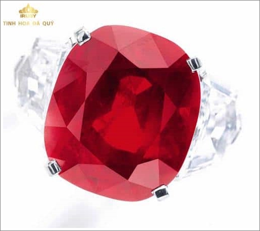 Viên Ruby đắt nhất thế giới - the Sunrise